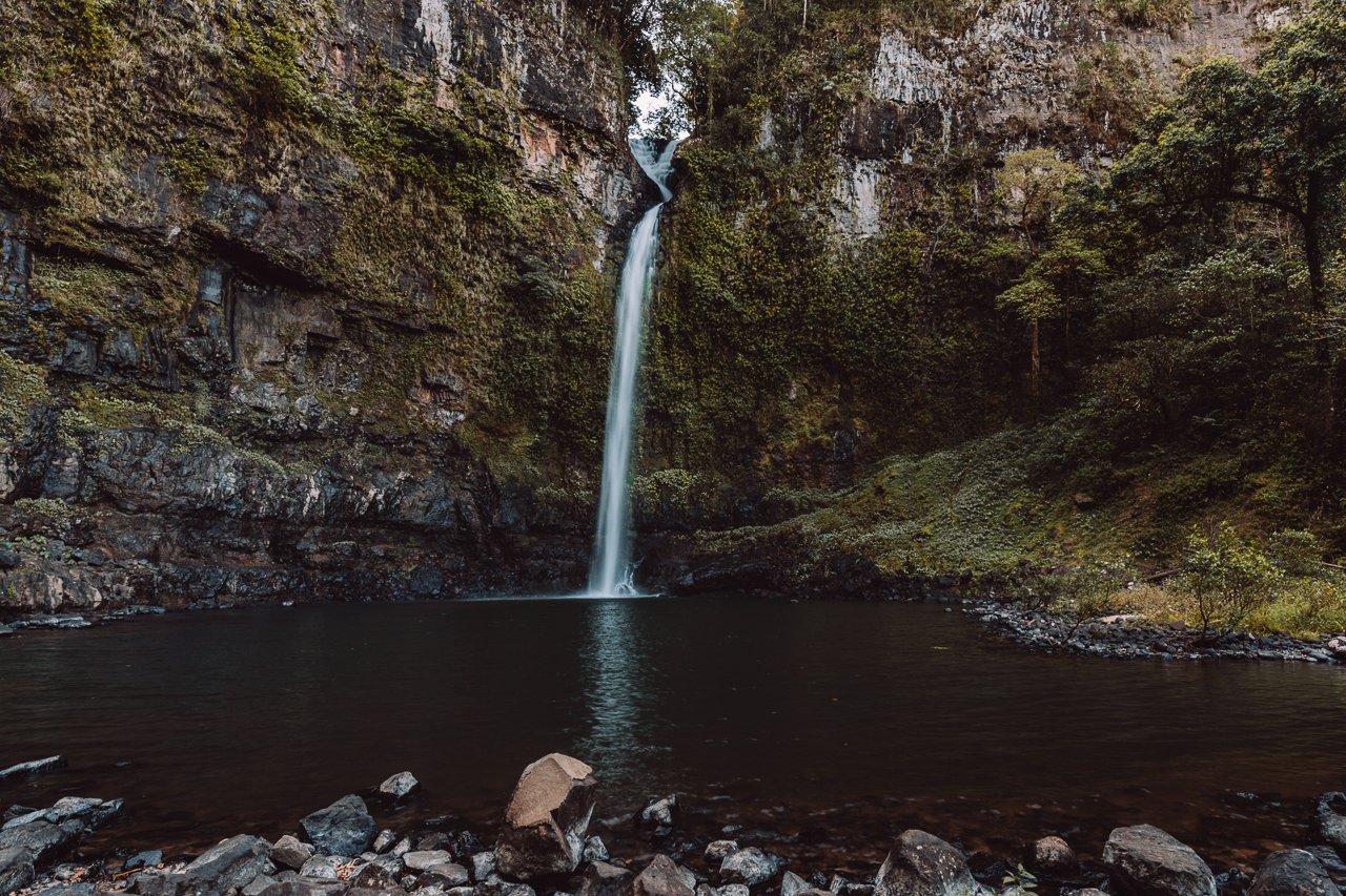 How To Get To Nandroya Falls - North Queensland | The Travel Quandary